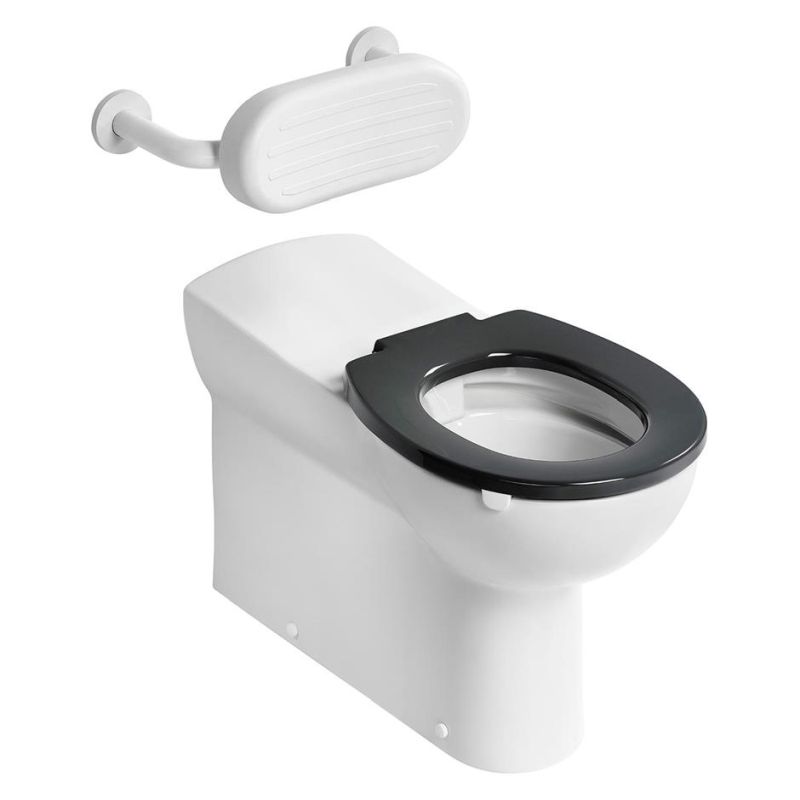 Contour 21+ 750mm Projection Back-to-Wall Rimless Toilet | Armitage ...